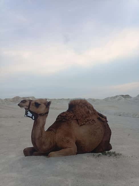 Bintan Desert And Blue Lake Private Tour - Key Points