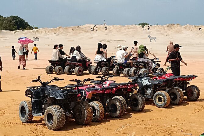 Bintan Desert and Blue Lake Private Tours - What Travelers Are Saying (Based on Reviews)