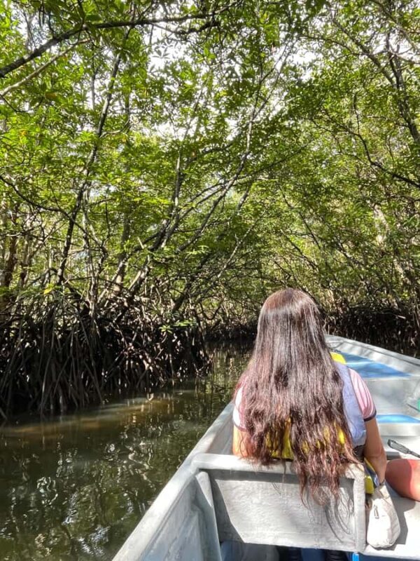 Bintan Island : Mangrove Or Fireflies Tour - Detailed Review of the Bintan Mangrove and Fireflies Tour