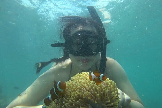 Bintan Island Snorkeling, Kayaking and Fun Fishing Activity - An Overview of the Tour Experience