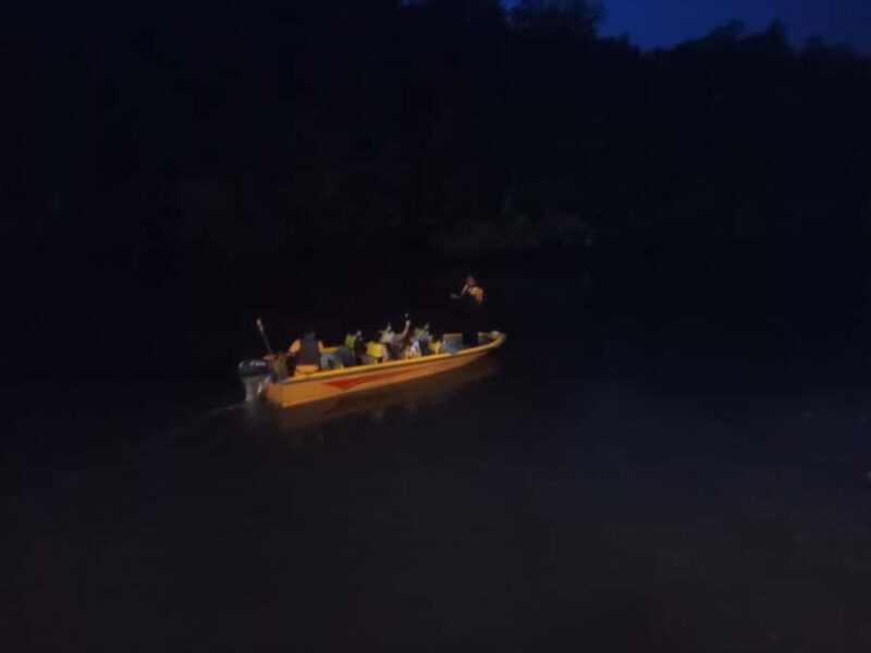 Bintan: Mangrove and Firefly Tour with Boat Ride - A Close-Up on What to Expect