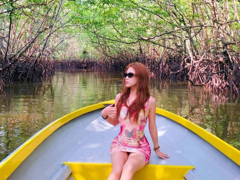 Bintan: Mangrove Discovery Boat Tour - Key Points