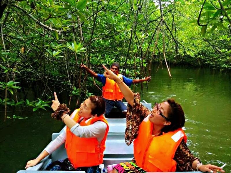 Bintan: Mangrove Discovery Boat Tour - An Introduction to the Tour