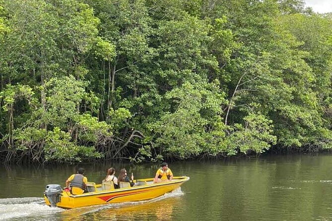 Bintan Mangrove or Fireflies Discovery Tour - Key Points