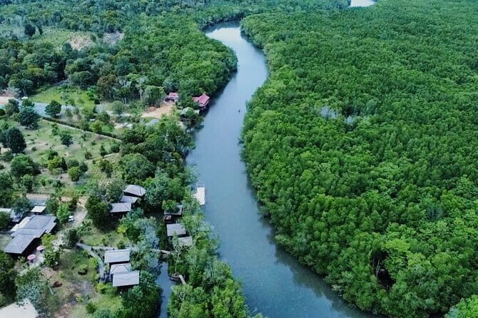 Bintan Mangrove or Fireflies Discovery Tour - A Closer Look at the Experience