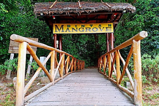 Bintan Mangrove or Fireflies Discovery Tour - FAQ