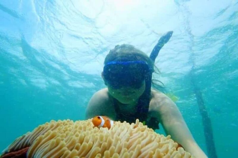 Bintan: Snorkeling, Kayaking, and Fishing Tour - Key Points