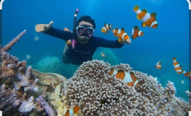 Bintan: Snorkeling, Kayaking, and Fishing Tour - An In-Depth Look at the Tour Experience