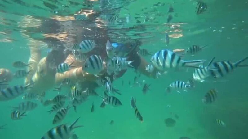 Bintan Snorkeling - The Detailed Breakdown of the Bintan Snorkeling Tour