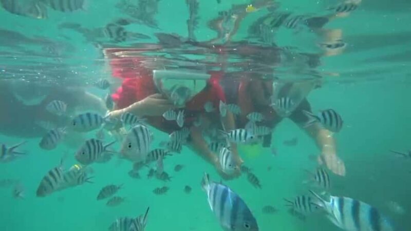 Bintan Snorkeling - Final Thoughts: Who Should Consider This Tour?