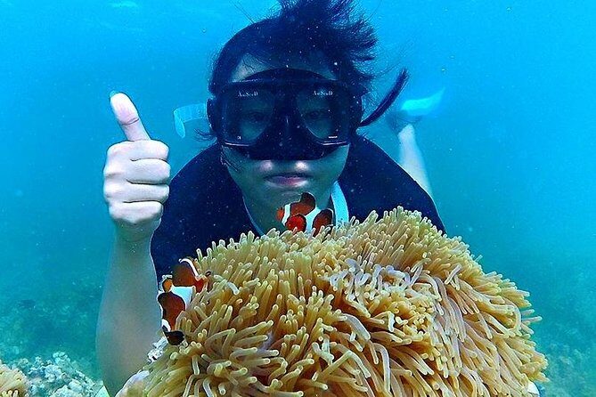 Bintan Snorkeling Tour - What Makes This Tour Stand Out?