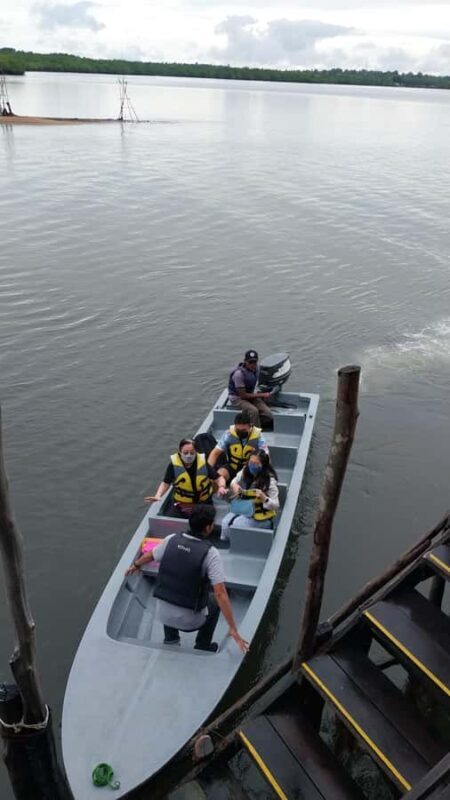 Bintan Tour Mangrove or Fireflies - Key Points