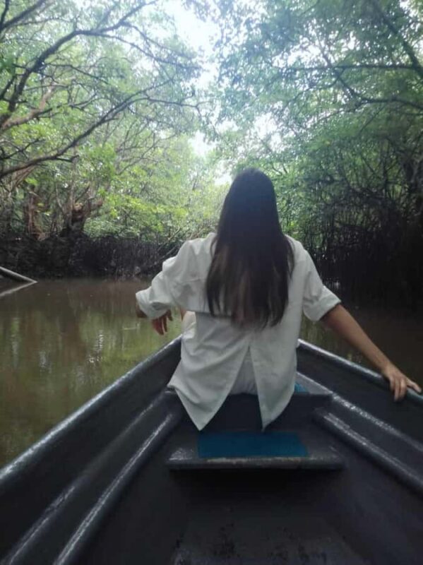 Bintan Tour Mangrove or Fireflies - Who Would Love This Tour?