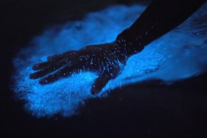 Bio Bay Kayak Tour in Fajardo - Key Points