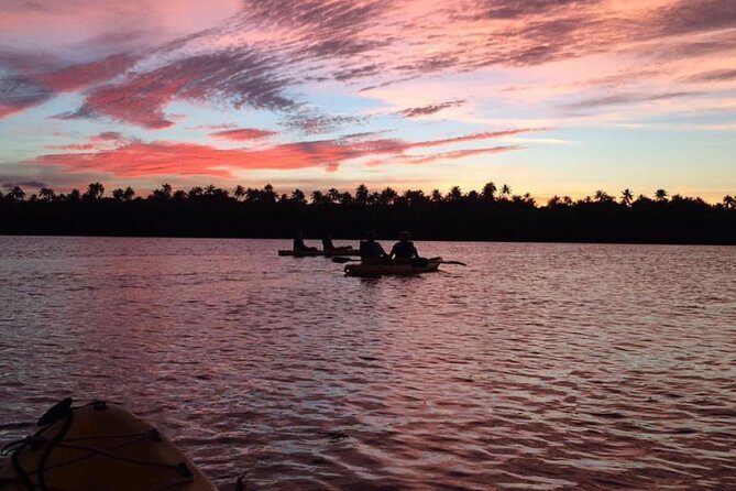 Bio Bay Kayak Tour in Fajardo - Introduction: Why the Bio Bay Kayak Tour is a Must-Do