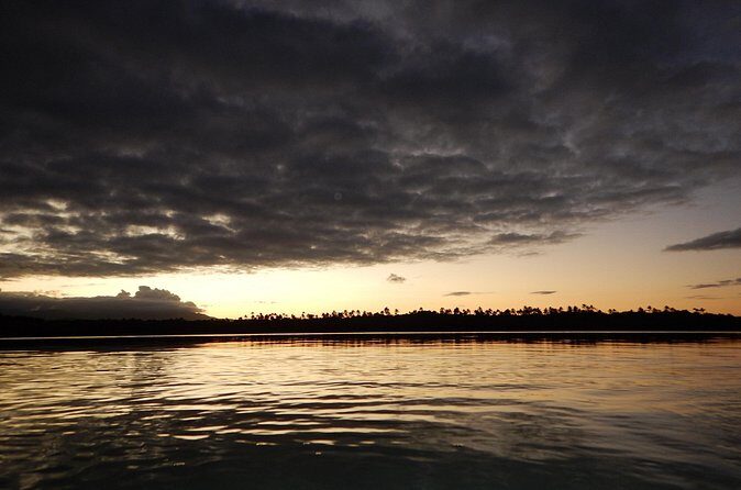 Bio Bay Kayak Tour in Fajardo - Pricing and Value