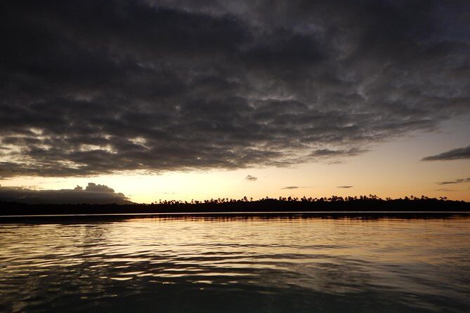 Bio Bay Kayak Tour in Fajardo - Who Should Book This Tour?