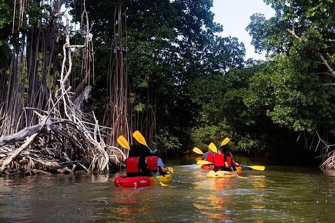 Bio Bay Night Kayak Tour in Fajardo - Frequently Asked Questions (FAQs)