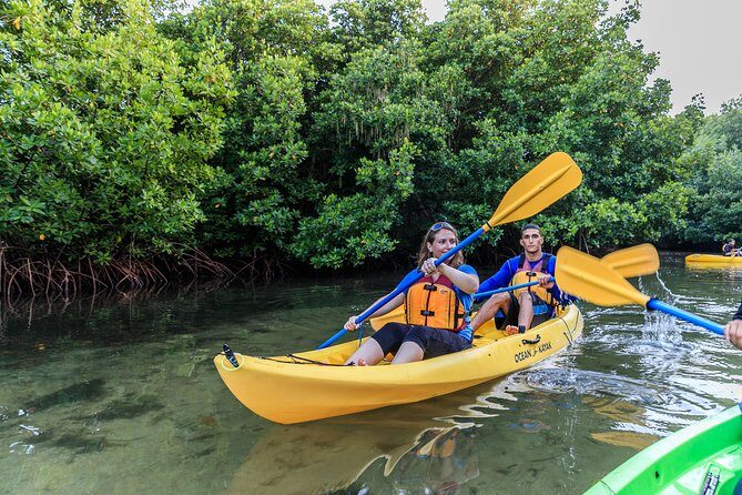 Bio Bay Night Kayak Tour with Transport from San Juan - Key Points