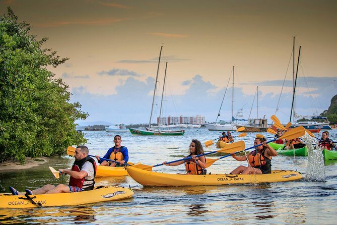 Bio Bay Night Kayaking | Laguna Grande, Fajardo - Key Points