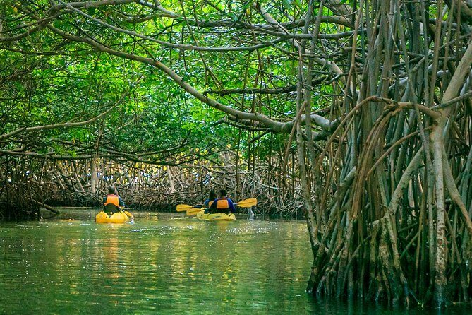 Bio Bay Night Kayaking | Laguna Grande, Fajardo - Starting Point and Logistics