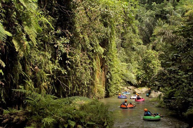 Bio River Tubing - Who Should Book This Tour?