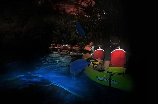 BioBay Sunset Splash-Kayaking Tour - Authenticity and the Overall Value