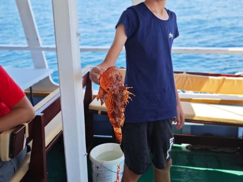 Biograd: Authentic Fishing Tour in Croatia. Kids Love This! - Lunch: Fresh Fish from the Sea