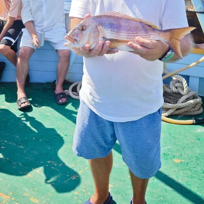 Biograd: Authentic Fishing Tour in Croatia. Kids Love This! - Free Time and Dolphin Watching