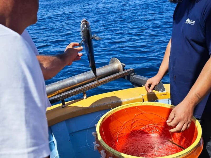 Biograd: Authentic Fishing Tour in Croatia. Kids Love This! - Practical Considerations