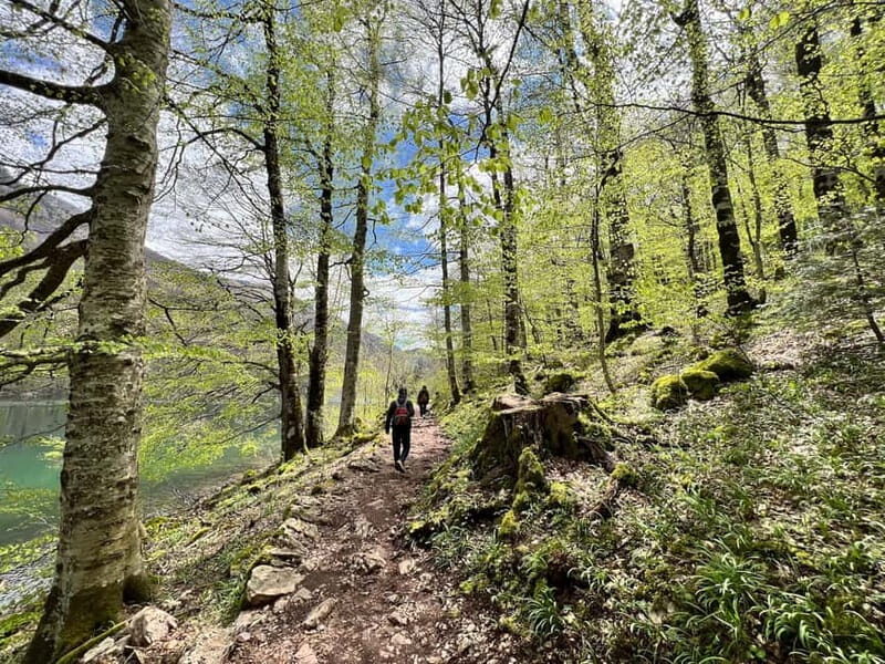 Biogradska Gora National Park - monastery & Moraca Canyon - Practical Details and Value