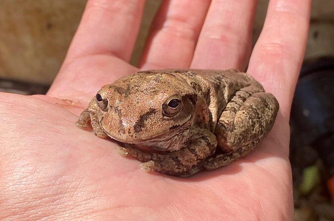 Biologist led Jungle Hike in Sayulita: Explore Natikari Reserve - Final Thoughts
