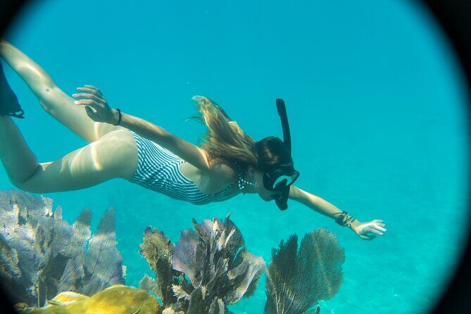 Biologist Owned & Operated: Dolphin Watching & Guided Snorkeling - Starting Point and Logistics