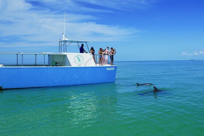 Biologist Owned & Operated: Dolphin Watching & Guided Snorkeling - The Educational and Responsible Approach