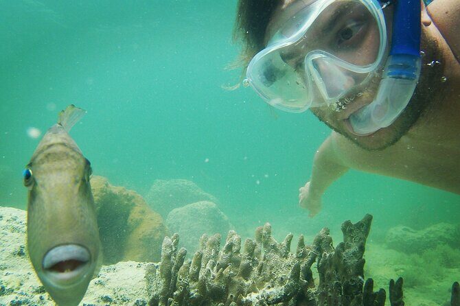 Biologist Owned & Operated: Dolphin Watching & Guided Snorkeling - The Reviews Speak for Themselves
