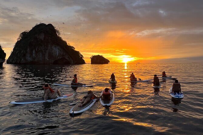 Bioluminescence by kayak or SUP to Los Arcos Puerto Vallarta - References