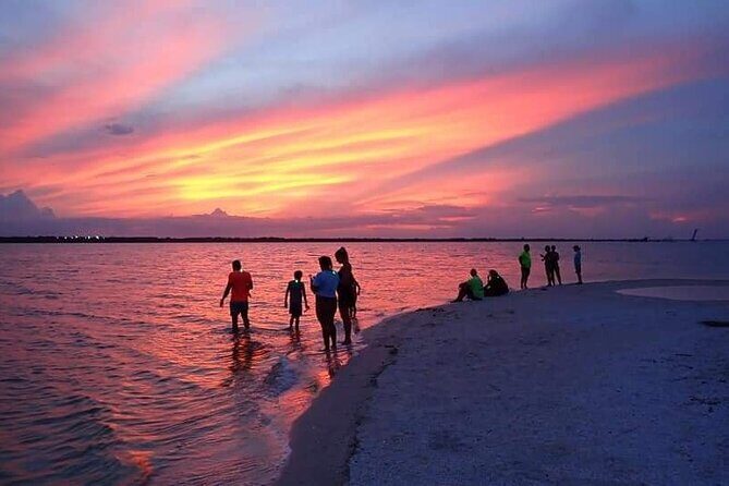 Bioluminescence Clear Kayak or Paddleboard Tour Near Orlando - The Sum Up