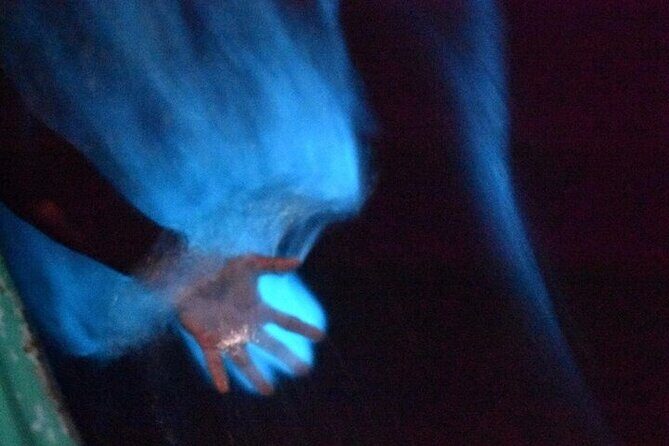 Bioluminescence in Manialtepec Night Tour from Huatulco - The Itinerary in Detail