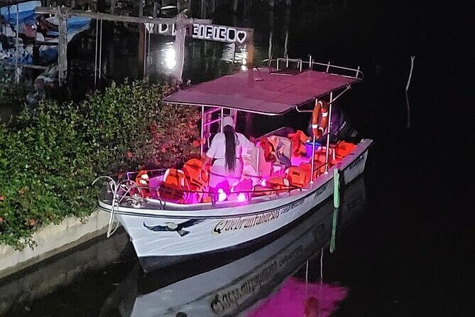Bioluminescence in Manialtepec Night Tour from Huatulco - Final Thoughts