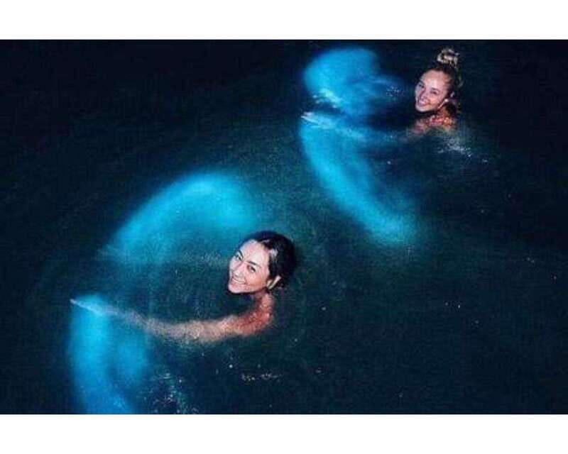 BIOLUMINESCENCE IN PUERTO ESCONDIDO - What the Tour Promises