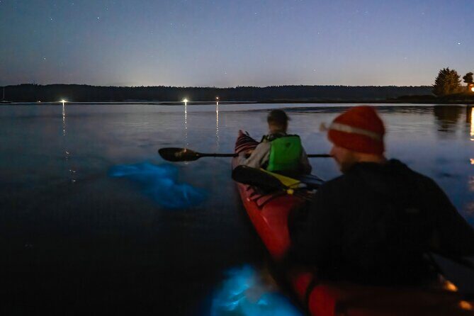Bioluminescence Kayak Tour at Fort Flagler State Park - Practical Details