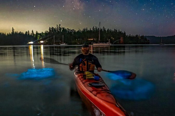 Bioluminescence Kayak Tour at Fort Flagler State Park - The Sum Up