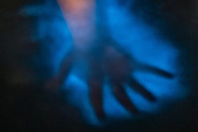 Bioluminescence Kayak Tour at Fort Flagler State Park - FAQ