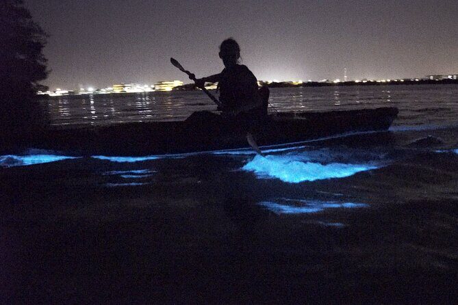 Bioluminescence Kayak Tour - An in-Depth Look at the Bioluminescence Kayak Tour
