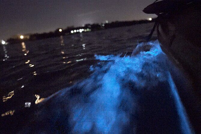 Bioluminescence Kayak Tour - Frequently Asked Questions