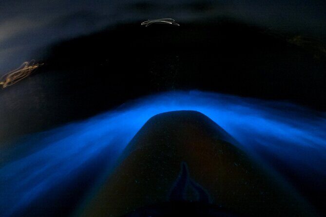 Bioluminescence Kayak Tour - Est. 1994 - Starting Point and Logistics