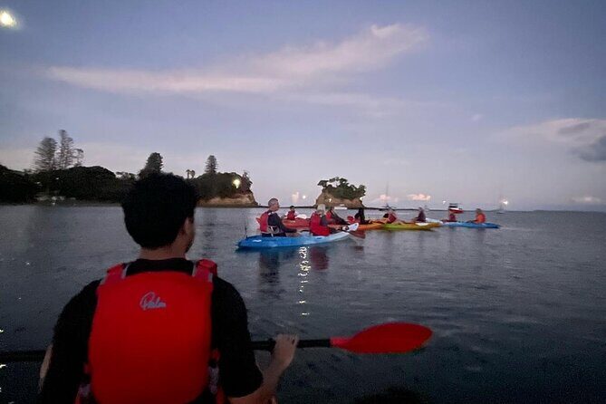Bioluminescence Kayak Tour - Est. 1994 - Safety and Equipment