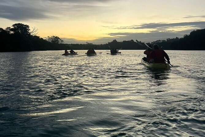 Bioluminescence Kayak Tour - Est. 1994 - Additional Perks