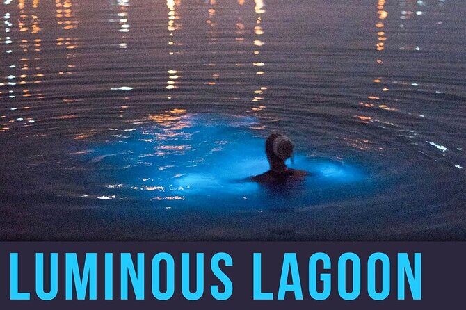 Bioluminescence Lagoon Tour from Montego Bay with Pick Up - Final Thoughts: Is It Worth It?