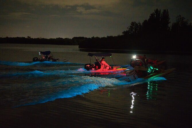 Bioluminescence Night Craigcat Tours - The Value of the Experience: Why It’s Worth It